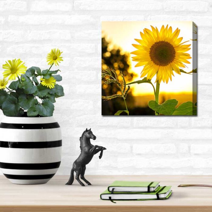 Captivating square photo prints on canvas personalize your space