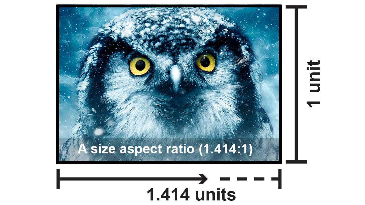 Aspect Ratio: A1, A2, A3, A4, Panoramic or Square?