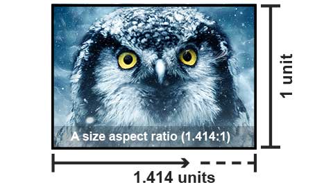 Aspect Ratio: A1, A2, A3, A4, Panoramic or Square?